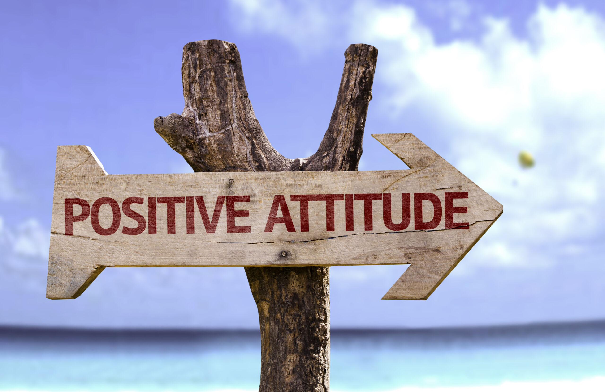 Be Positive. Be True. Be Kind - Job Skills